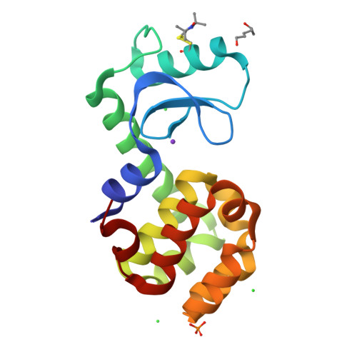 RCSB PDB - 5JGR: Spin-Labeled T4 Lysozyme Construct K43V1
