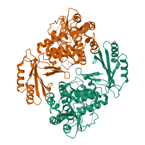 RCSB PDB - 5JK8: Phenylalanine hydroxylase from dictyostelium - BH2 ...