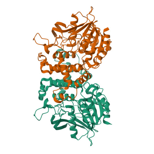 RCSB PDB - 5JKF: Crystal structure of esterase E22