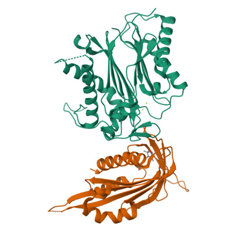 RCSB PDB - 5JO1: Crystal structure of phaseic acid-bound abscisic acid ...