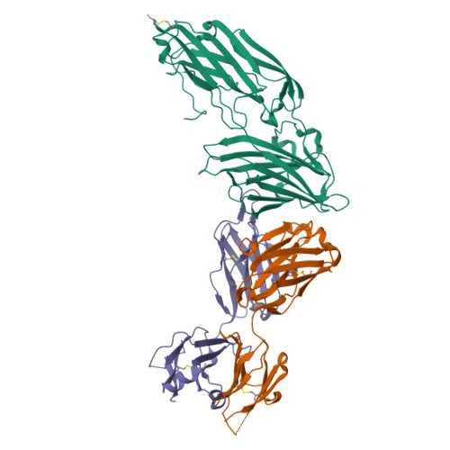 RCSB PDB - 5JQ6: Crystal structure of ClfA in complex with the Fab ...
