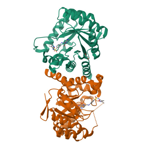 RCSB PDB - 5JQ9: Yersinia pestis DHPS with pterine-sulfa conjugate ...