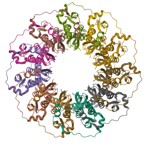RCSB PDB - 5JRB: Rad52(1-212) K102A/K133A/E202A mutant