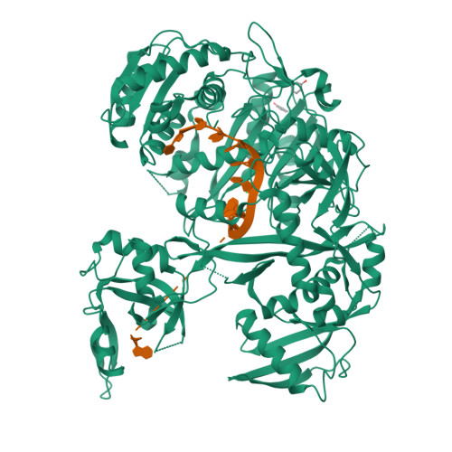RCSB PDB - 5JS1: Human Argonaute2 Bound to an siRNA