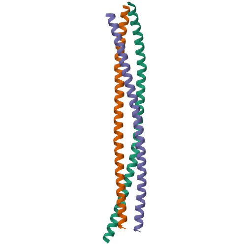 RCSB PDB - 5JXC: SynGAP Coiled-coil trimer