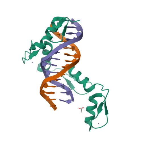 RCSB PDB - 5K5J: Homo sapiens CCCTC-binding factor (CTCF) ZnF5-8 and ...