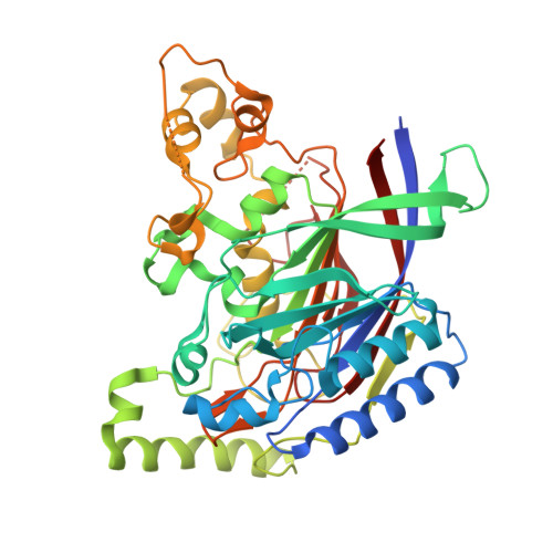 RCSB PDB - 5K5U: Crystal structure of N-terminal amidase