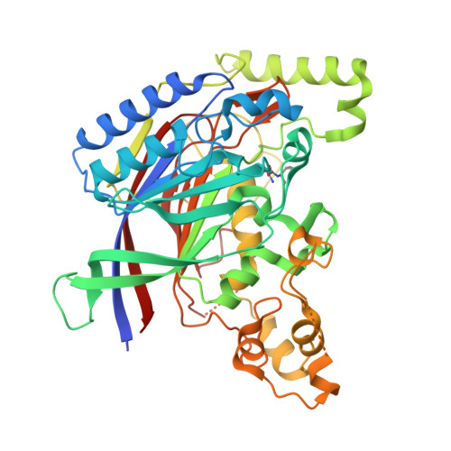 RCSB PDB - 5K62: Crystal structure of N-terminal amidase C187S