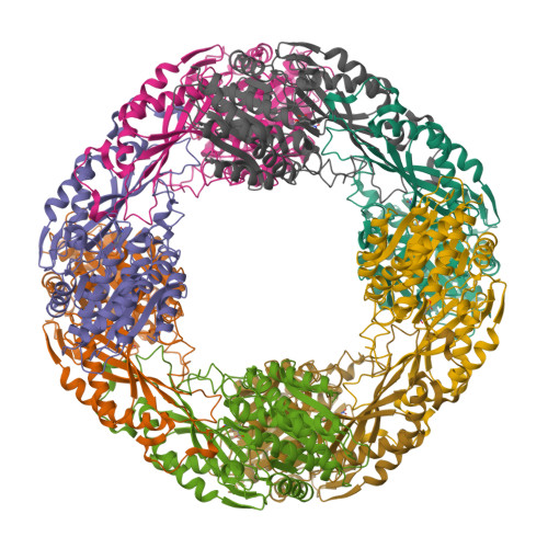 RCSB PDB - 5K8O: Mn2+/5NSA-bound 5-nitroanthranilate aminohydrolase