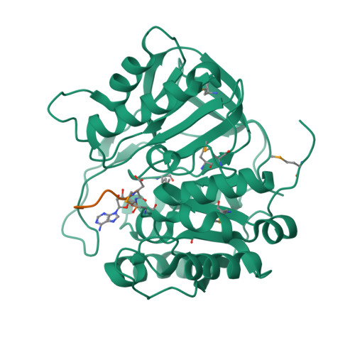 RCSB PDB - 5K99: Crystal structure of microcin immunity protein MccF ...