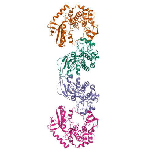 RCSB PDB - 5KKR: KSR2:MEK1 Complex Bound to the Small Molecule APS-2-79