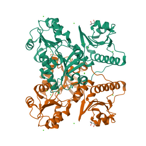 RCSB PDB - 5KN1: Recombinant bovine skeletal calsequestrin, high-Ca2+ form