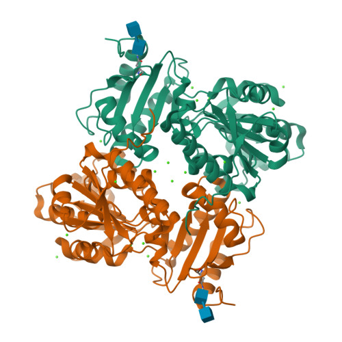 RCSB PDB - 5KN2: Native bovine skeletal calsequestrin, high-Ca2+ form