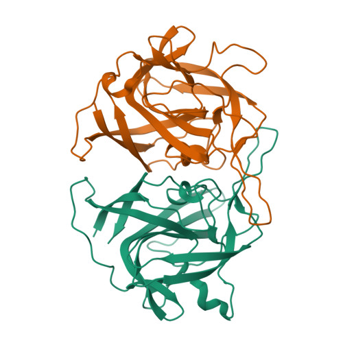 RCSB PDB - 5KOU: Crystal structure of the human astrovirus 2 capsid ...