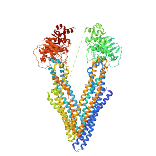 RCSB PDB - 5KPI: Mouse native PGP