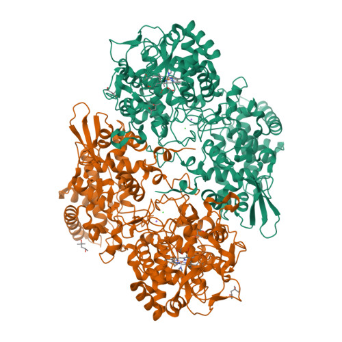 RCSB PDB - 5KSF: Crystal structure of the D141A variant of the catalase ...