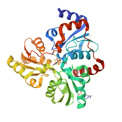 RCSB PDB - 5KTO: Crystal structure of Pyrococcus horikoshii quinolinate ...