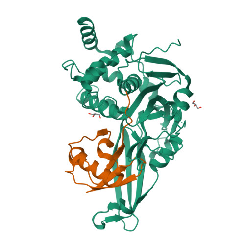 RCSB PDB - 5KYF: Crystal structure of USP7 catalytic domain [L299A ...