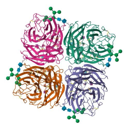 RCSB PDB - 5L18: The crystal structure of neuraminidase in complex with ...