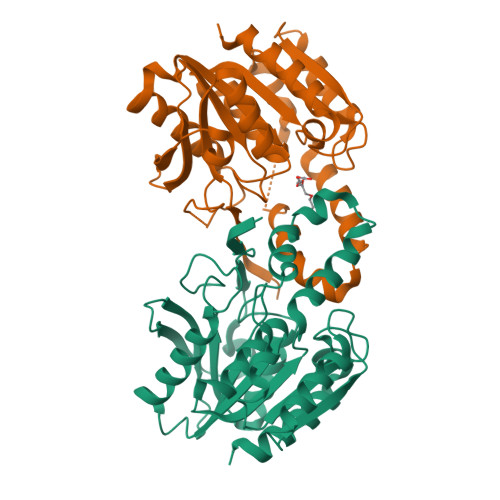 RCSB PDB - 5LCN: STRUCTURE OF THE PYROCOCCUS FURIOSUS ESTERASE PF2001 ...