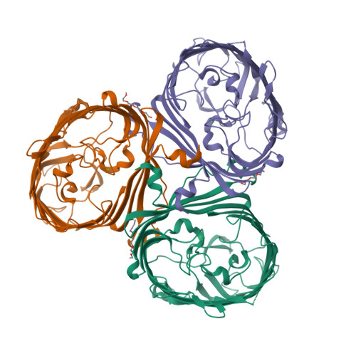 RCSB PDB - 5LDT: Crystal Structures of MOMP from Campylobacter jejuni