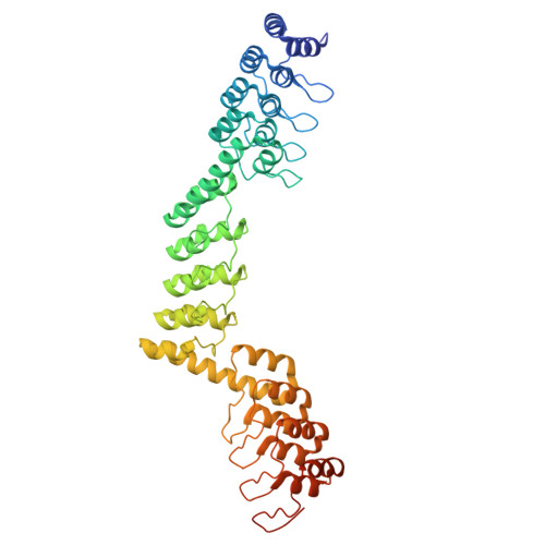 RCSB PDB - 5LED: Crystal structure of DARPin-DARPin rigid fusion ...