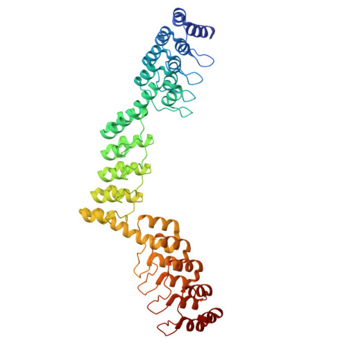 RCSB PDB - 5LEE: Crystal structure of DARPin-DARPin rigid fusion ...