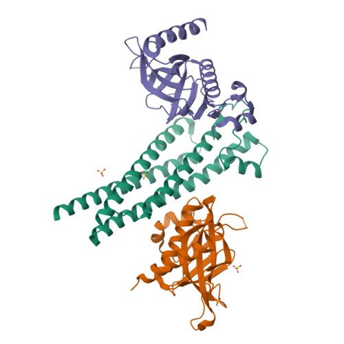 RCSB PDB - 5LG4: Crystal structure of the Sec3/Sso2 complex at 2.9 ...