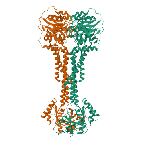 RCSB PDB - 5LIL: Structure of Aggregatibacter actinomycetemcomitans ...