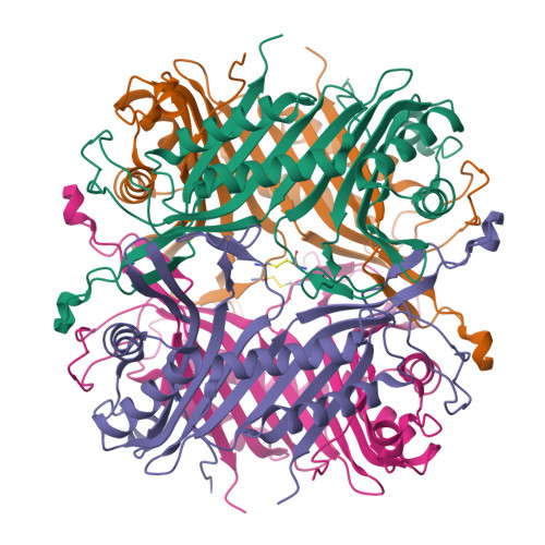 RCSB PDB - 5LL1: Crystal structure of urate oxidase from zebrafish