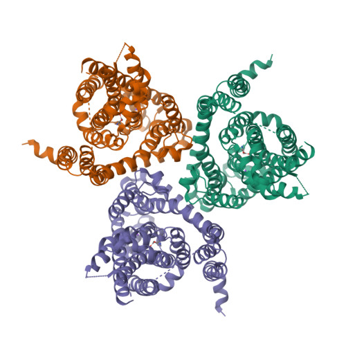 RCSB PDB - 5LLU: Structure of the thermostabilized EAAT1 cryst-II ...