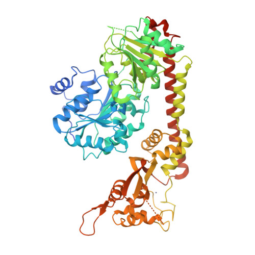 RCSB PDB - 5LST: Crystal structure of the human RecQL4 helicase.