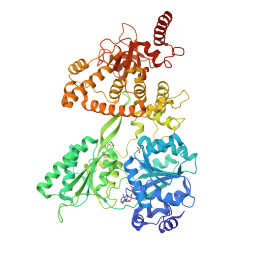 RCSB PDB - 5LTK: Crystal structure of the Prp43-ADP-BeF3 complex (in ...