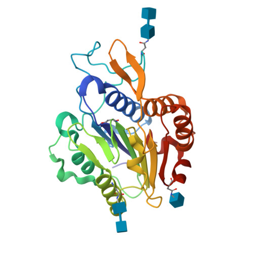 RCSB PDB - 5LUA: Crystal structure of human legumain (AEP) in complex ...