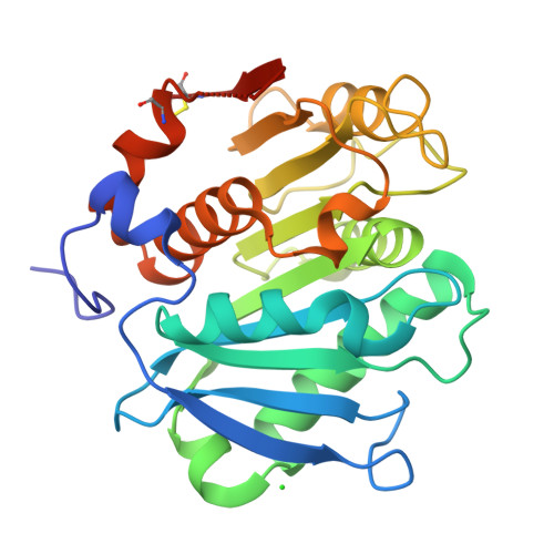 RCSB PDB - 5LUJ: Structure of cutinase 2 from Thermobifida cellulosilytica