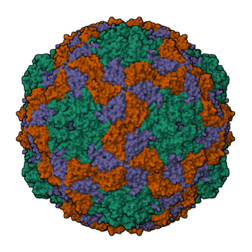 RCSB PDB - 5LVC: Aichi virus 1: empty particle