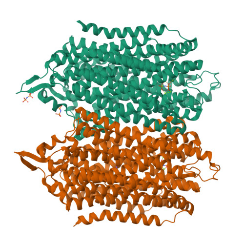RCSB PDB - 5LZQ: Crystal structure of Thermotoga maritima sodium ...