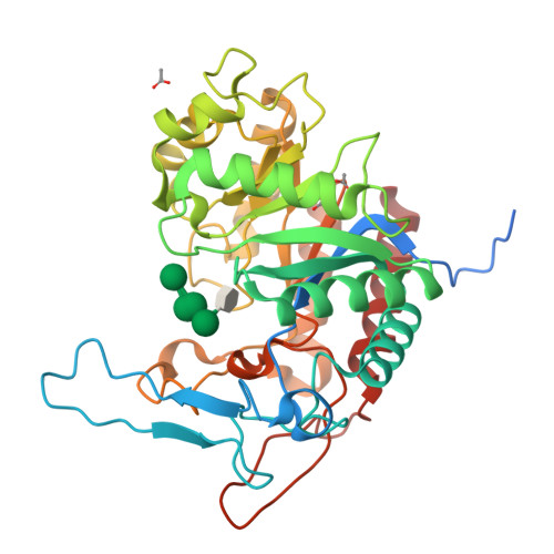 RCSB PDB - 5M3W: Structure of the GH99 endo-alpha-mannanase from ...