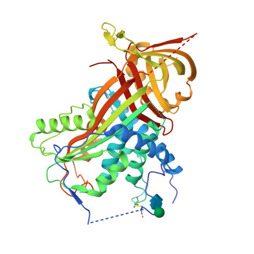 RCSB PDB - 5M3Y: Crystal structure of human glycosylated angiotensinogen