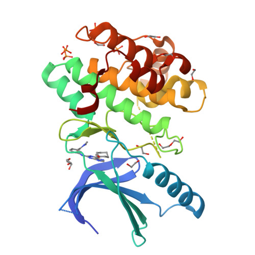 RCSB PDB - 5M53: Nek2 bound to arylaminopurine inhibitor 11
