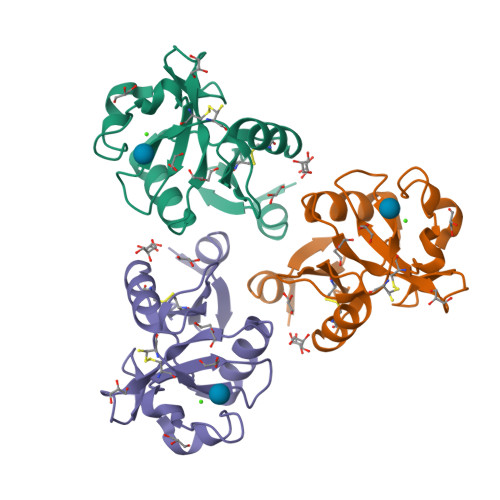RCSB PDB - 5M62: Structure of the Mus musclus Langerin carbohydrate ...