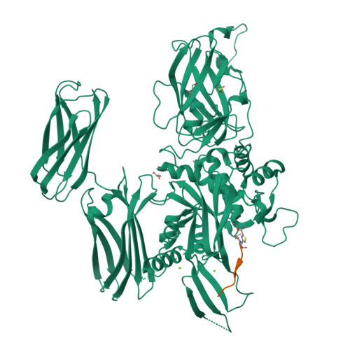 RCSB PDB - 5MHN: FXIIIa in complex with the inhibitor ZED2360