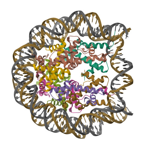 RCSB PDB - 5MLU: Crystal structure of the PFV GAG CBS bound to a ...