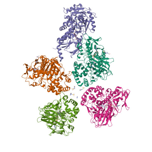 RCSB PDB - 5MOG: Oryza sativa phytoene desaturase inhibited by norflurazon