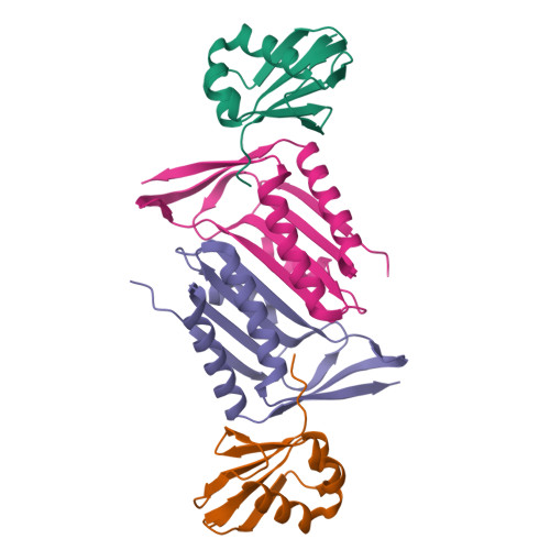 RCSB PDB - 5MPO: Crystal structure of human molybdopterin synthase complex