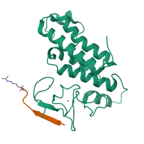RCSB PDB - 5MR8: Crystal structure of TRIM33 PHD-Bromodomain isoform B ...