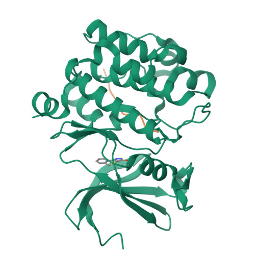 RCSB PDB - 5N4Y: Crystal structure of human Pim-1 kinase in complex ...