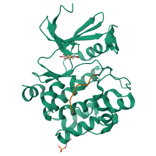 RCSB PDB - 5N51: Crystal structure of human Pim-1 kinase in complex ...