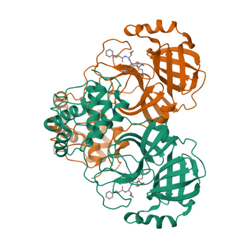 RCSB PDB - 5N5O: Structure of SARS coronavirus main protease in complex ...