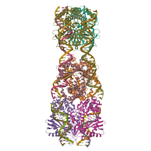 RCSB PDB - 5N6I: Crystal structure of mouse cGAS in complex with 39 bp DNA